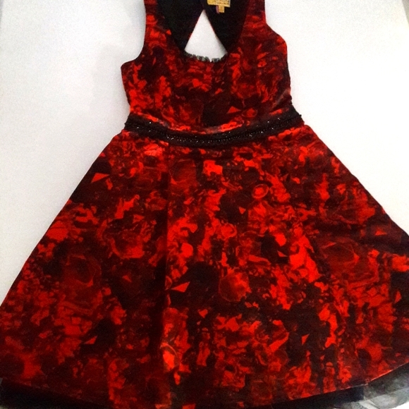 Vera Wang | Dresses | Princes Vera Wang Red Printer Dress Sz 3 | Poshmark
